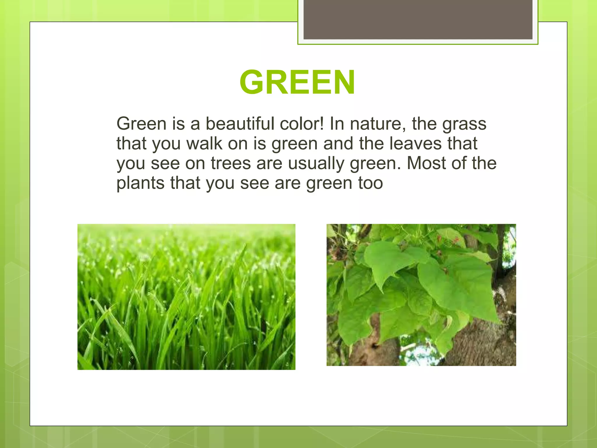Green color | PPT