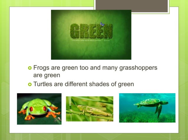Green color | PPTX