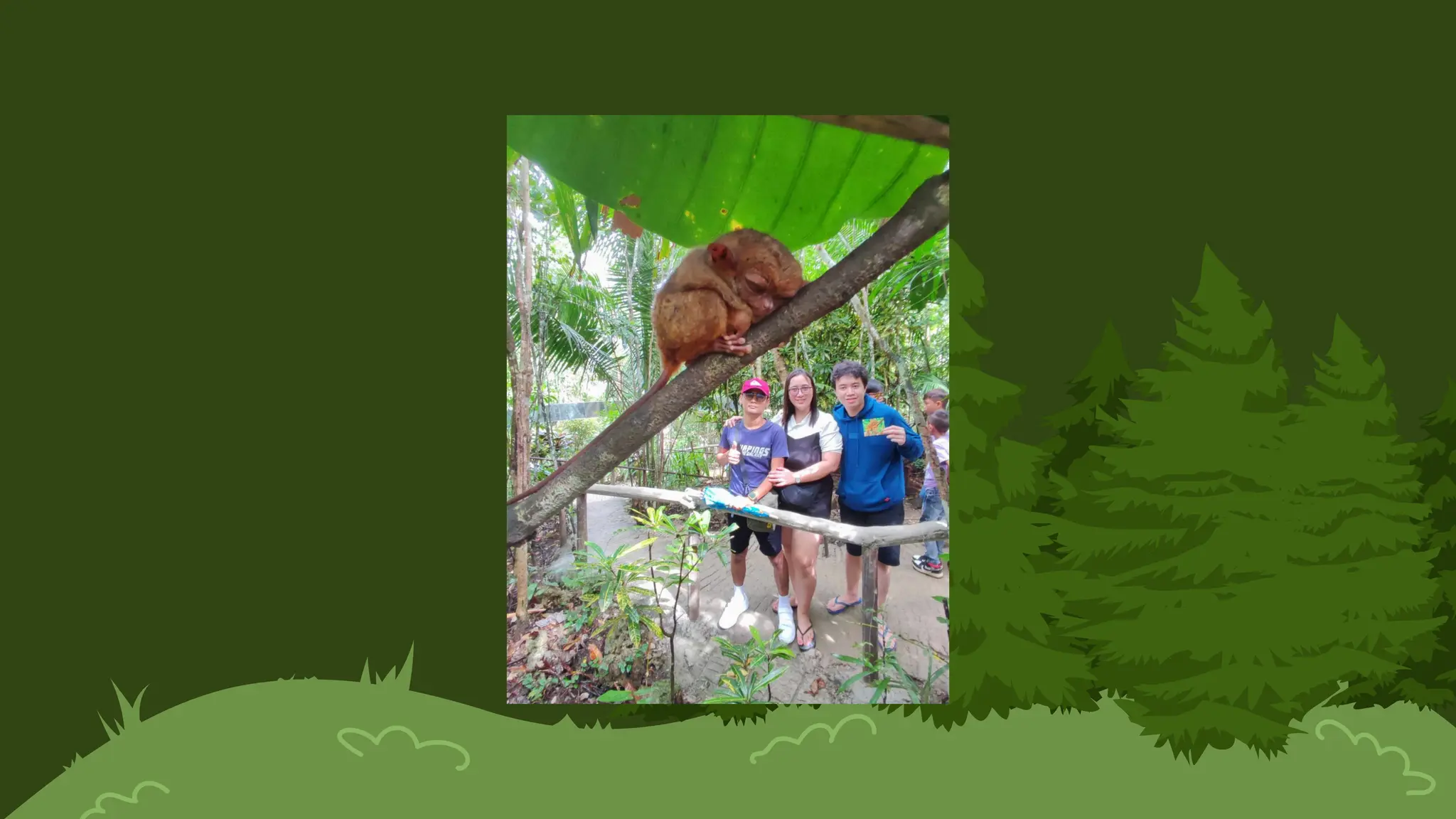 Green Colorful Illustration Guess The Animal Game Presentation.pdf