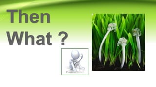 Green computing introduction | PPTX