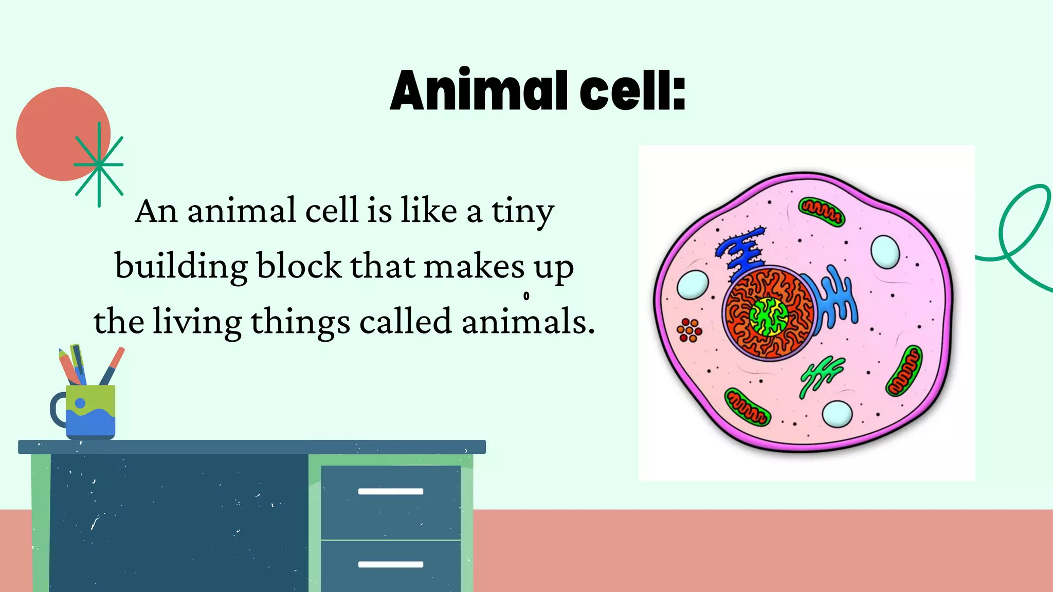 Animal cell for beginners | PPT