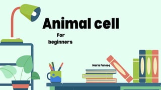 Animal cell for beginners | PDF