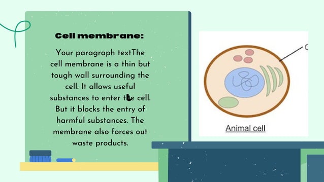 Animal cell for beginners | PPT