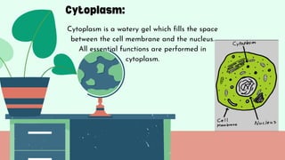 Animal cell for beginners | PPT