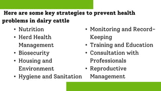 Most common health problems in dairy cattle | PPTX