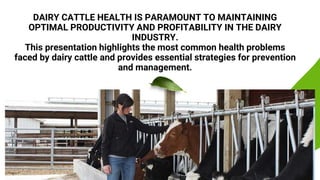 Most common health problems in dairy cattle | PPTX