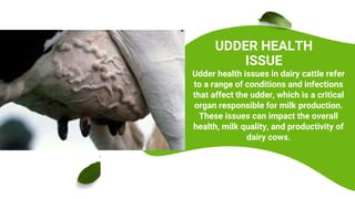 Most common health problems in dairy cattle | PPTX
