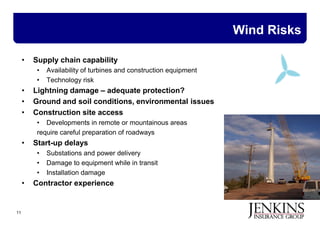 Green Energy has its Risks | PDF