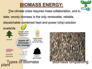 Green Energy is Future Renewable energy | PPT