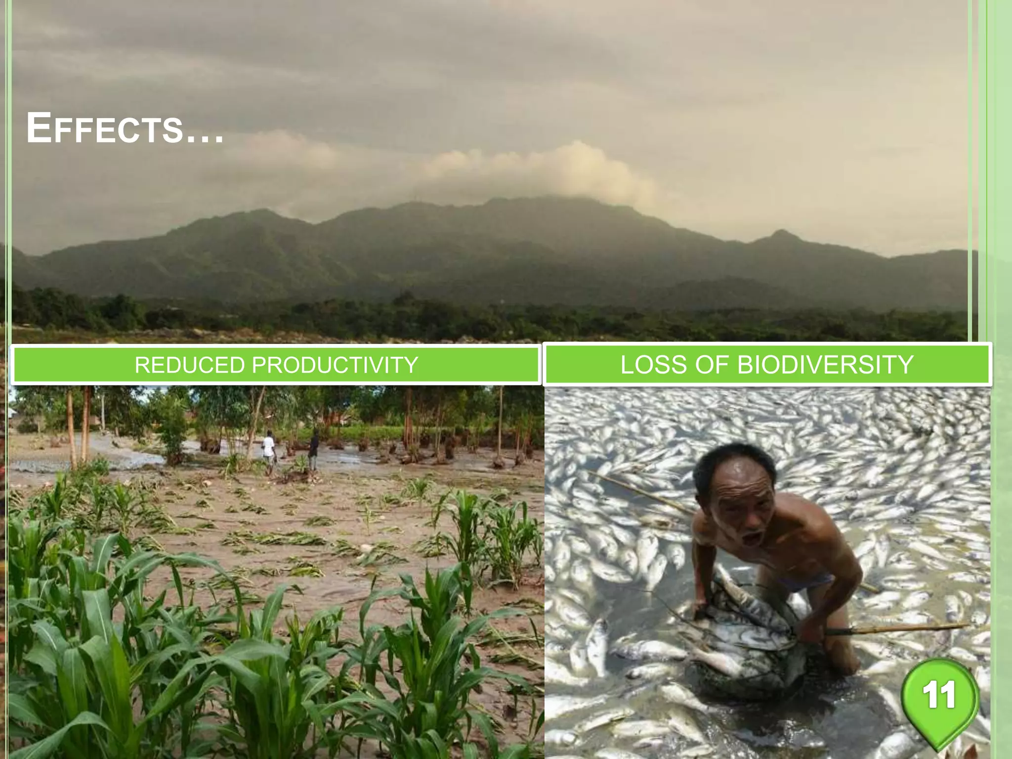 Green environment solowise 1 | PPTX