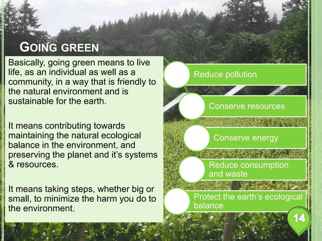 Green environment solowise 1 | PPTX