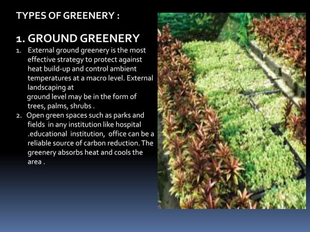 Greenery | PPTX | Gardening | Home & Garden