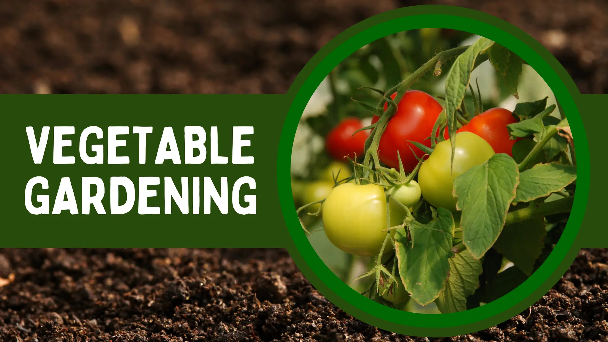 Vegetable Gardening Lesson 1 Fourth Quarter | PDF | Agriculture ...