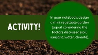 Vegetable Gardening Lesson 1 Fourth Quarter | PDF