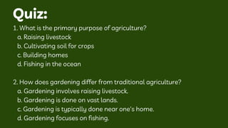 Vegetable Gardening Lesson 1 Fourth Quarter | PDF | Agriculture ...