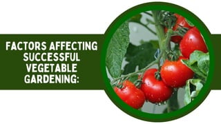 Vegetable Gardening Lesson 1 Fourth Quarter | PDF | Agriculture ...