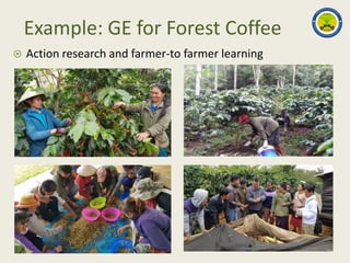 Green extension introduction, 2019 | PPTX