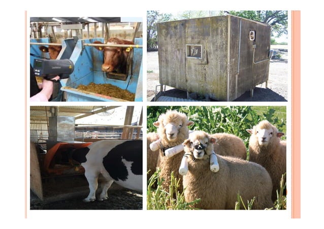 Green feed in methane mitigation...muneendra kumar | PDF