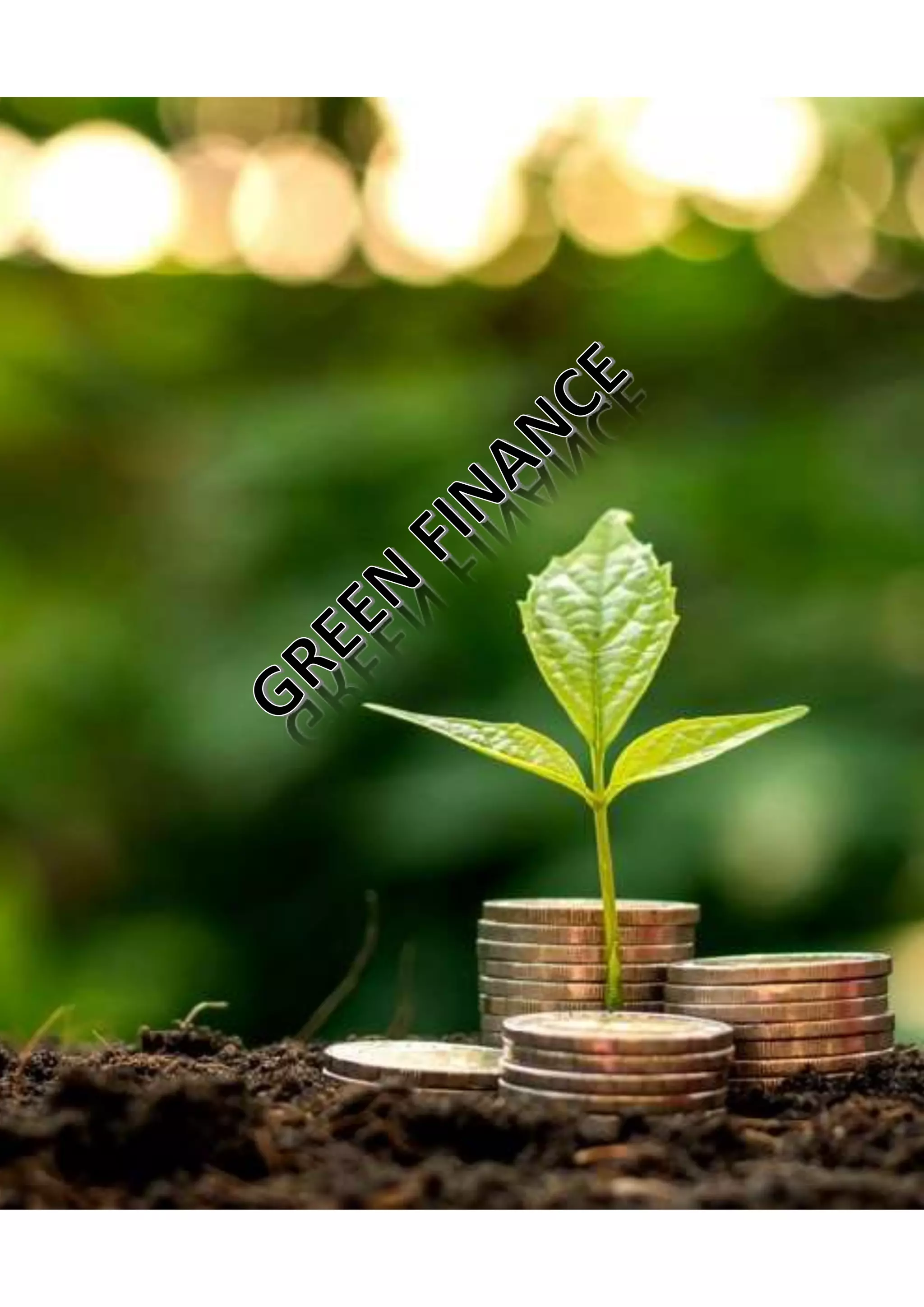Green Finance.docx