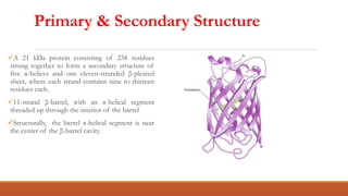 Green Fluorescent Protein.ppt