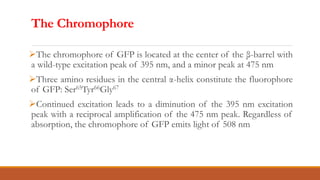 Green Fluorescent Protein.ppt