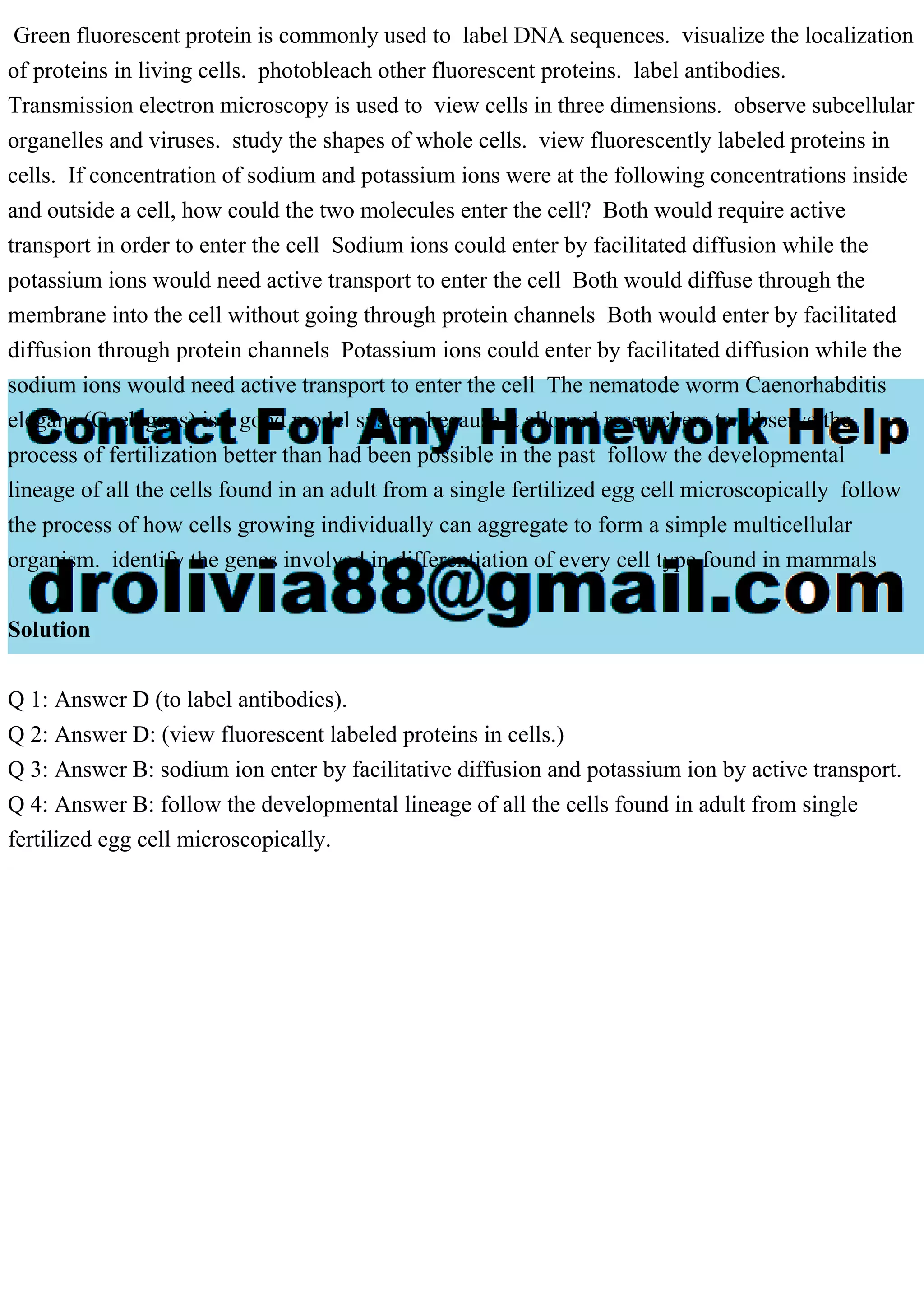 Green fluorescent protein is commonly used to label DNA sequences. .pdf