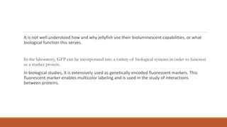 Green Fluorescent Protein notes.ppt