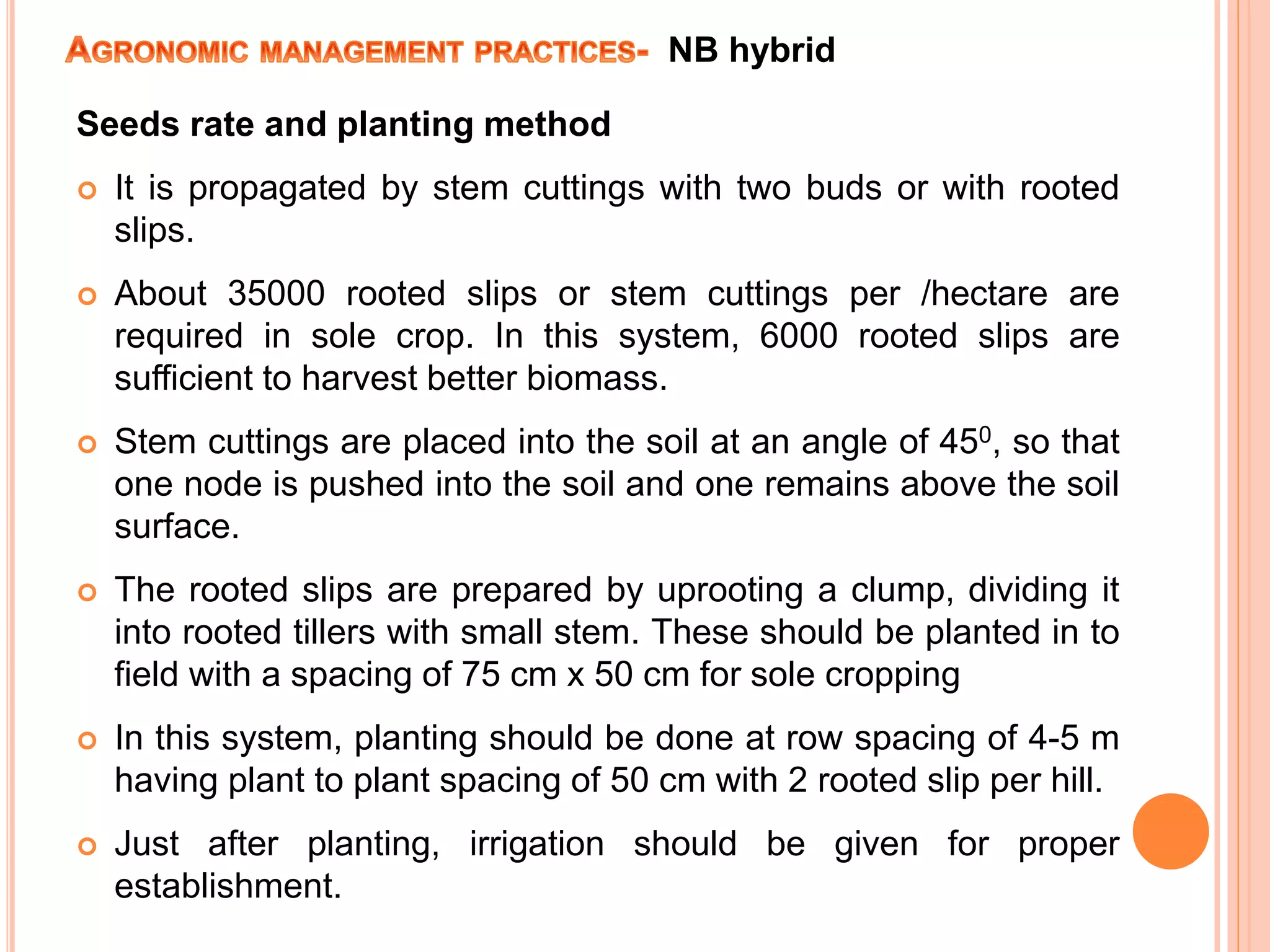 Green fodder production around the year | PPTX