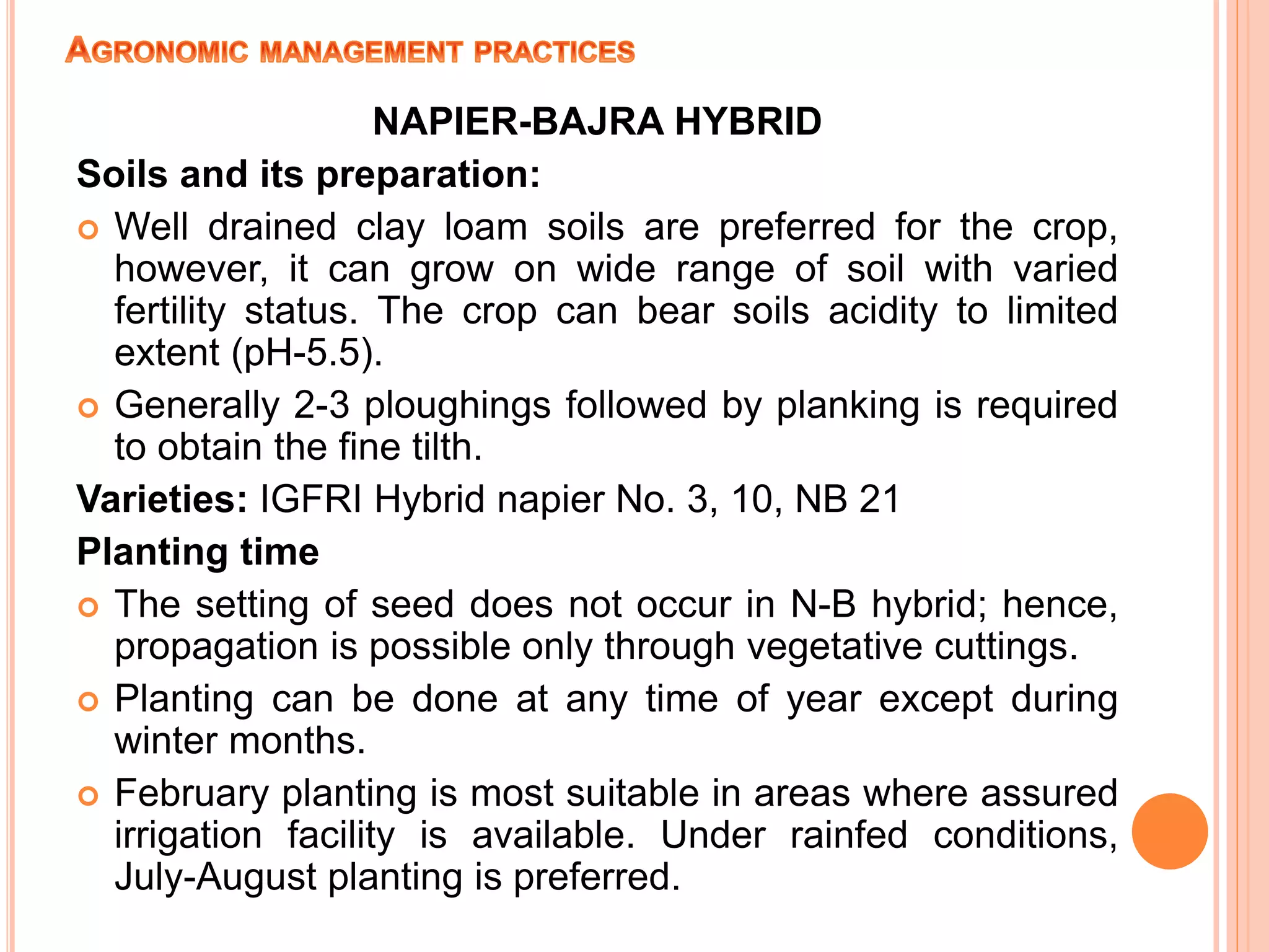 Green fodder production around the year | PPTX