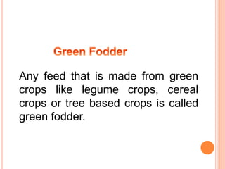 Green fodder production around the year | PPTX