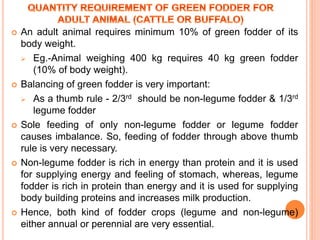 Green fodder production around the year | PPTX