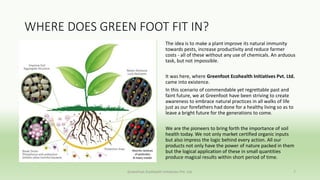 Greenfoot presentation | PPT