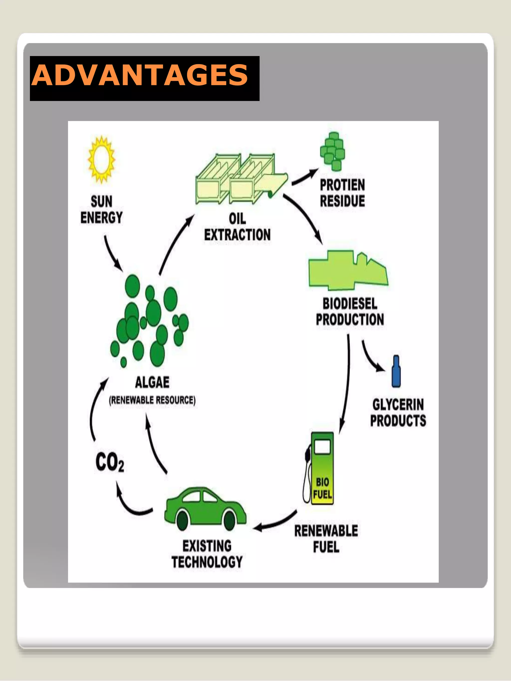 Green fuel | PPTX
