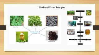 Green Fuel in chemistry examples of green fuels | PPT