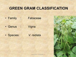 Green gram | PPTX