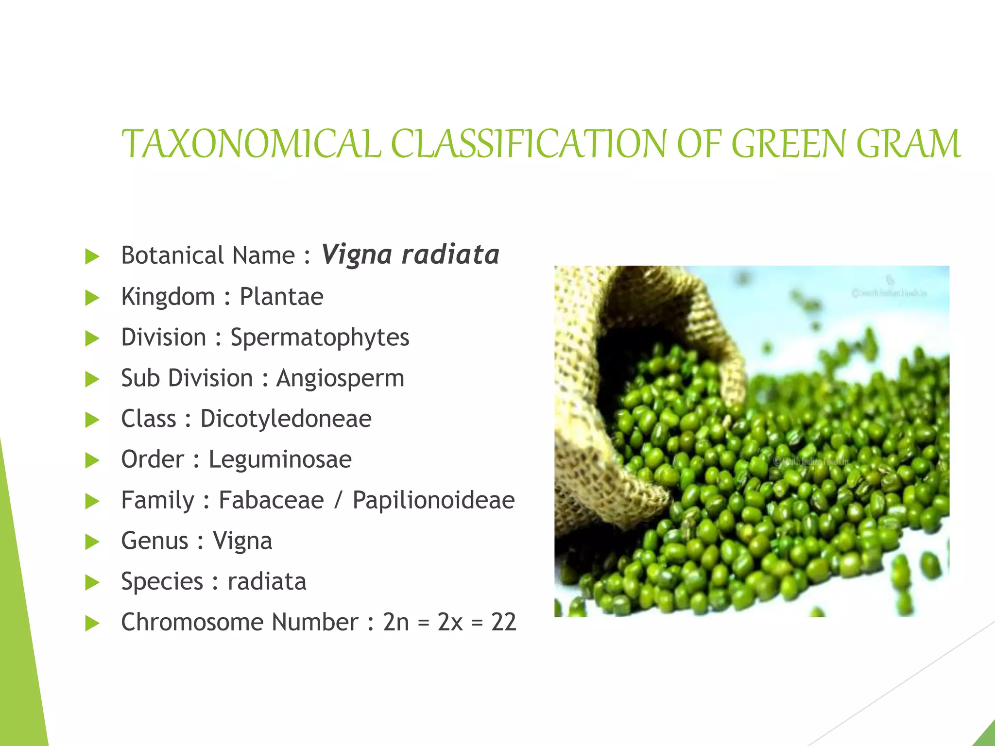 Floral Biology and Seed Production of Green gram | PPTX