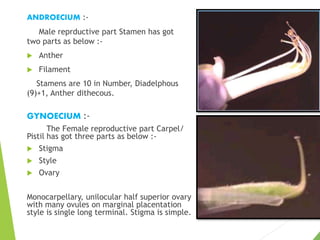 Floral Biology and Seed Production of Green gram | PPTX
