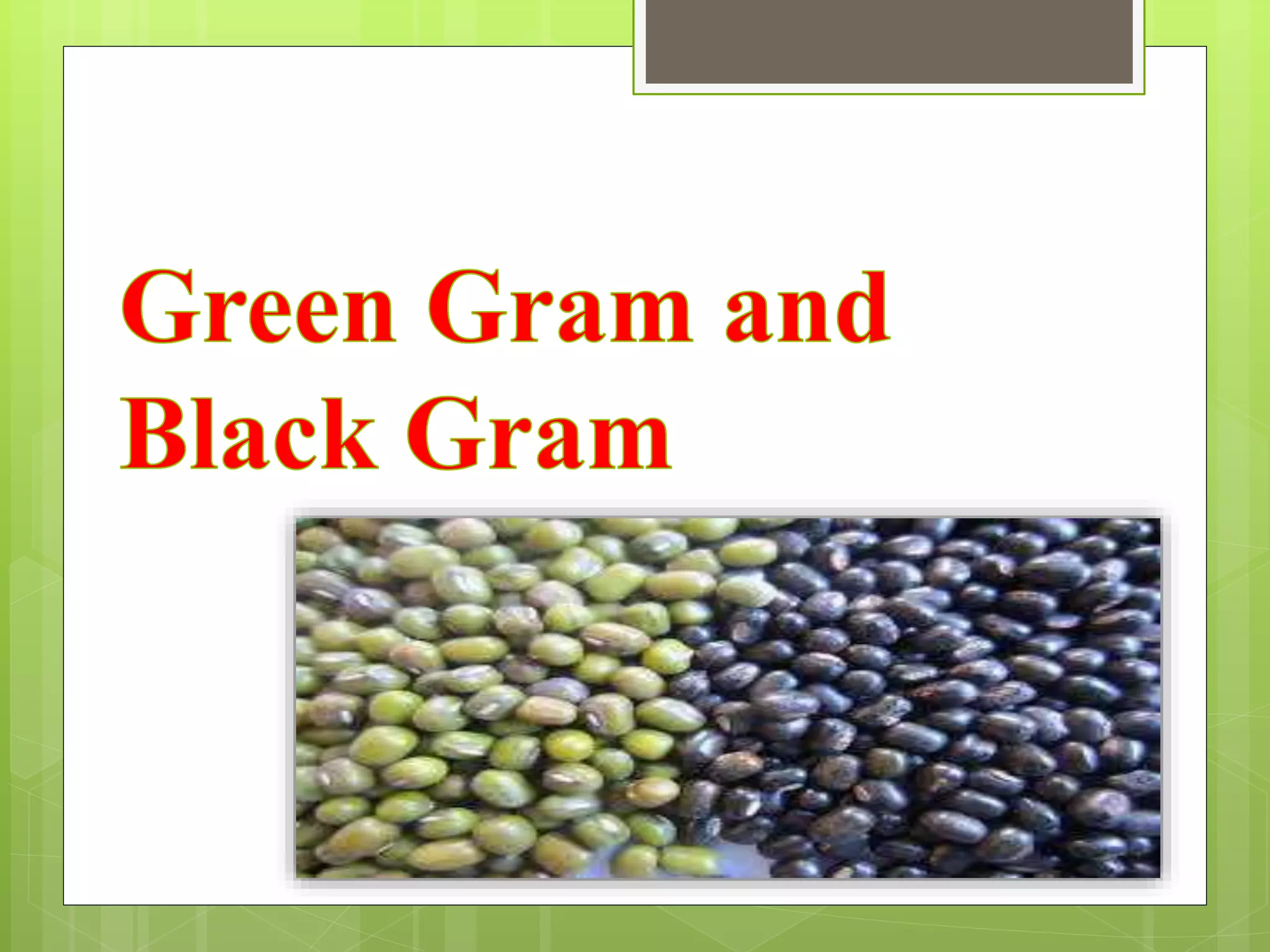 Green gram and black gram | PPTX