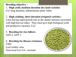 Green gram and black gram | PPTX