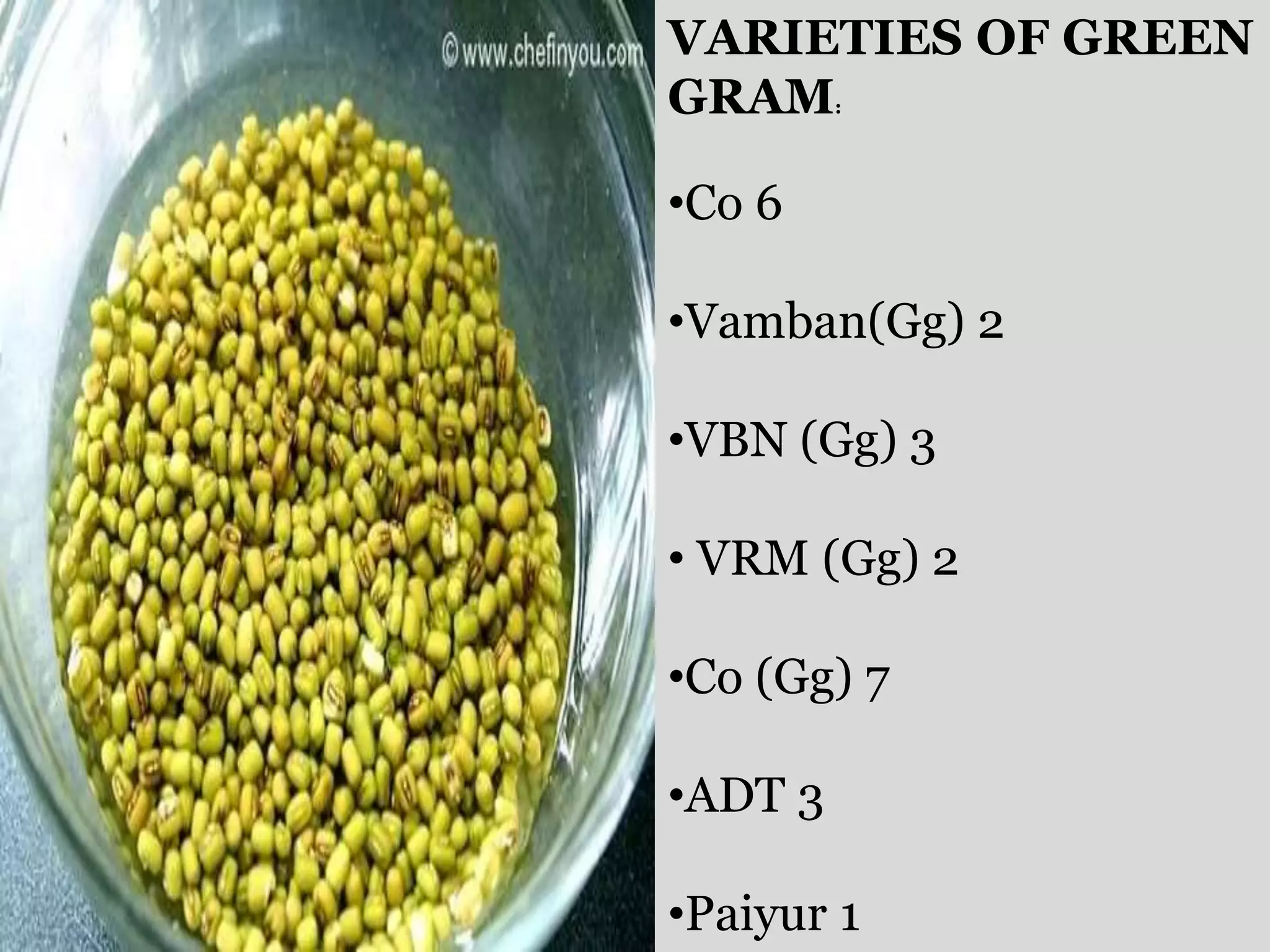 Green gram (vigna radiata) | PPTX
