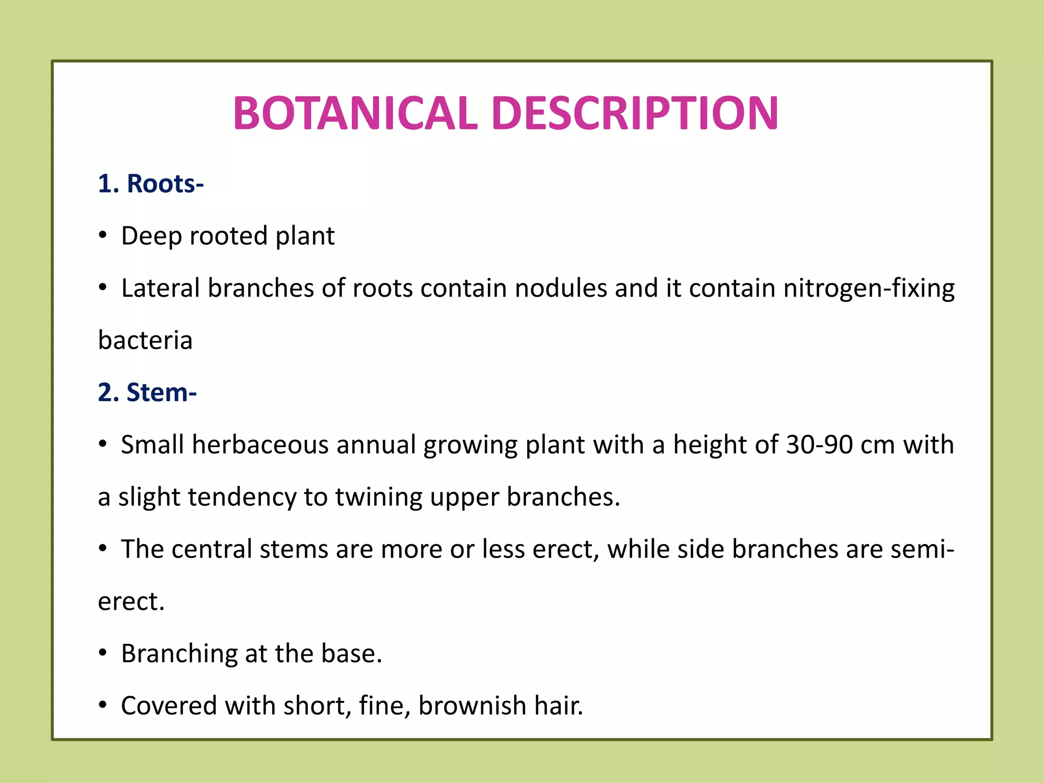Seed Production in Green gram ppt | PPTX