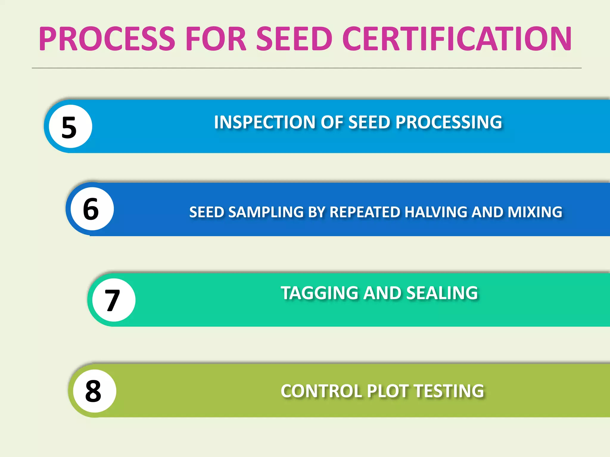 Seed Production in Green gram ppt | PPTX
