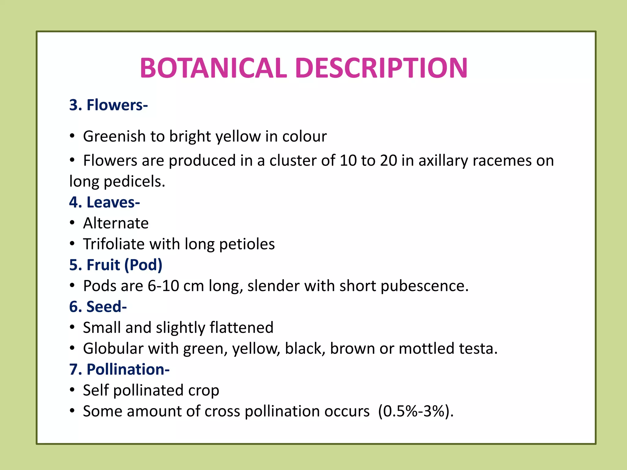 Seed Production in Green gram ppt | PPTX
