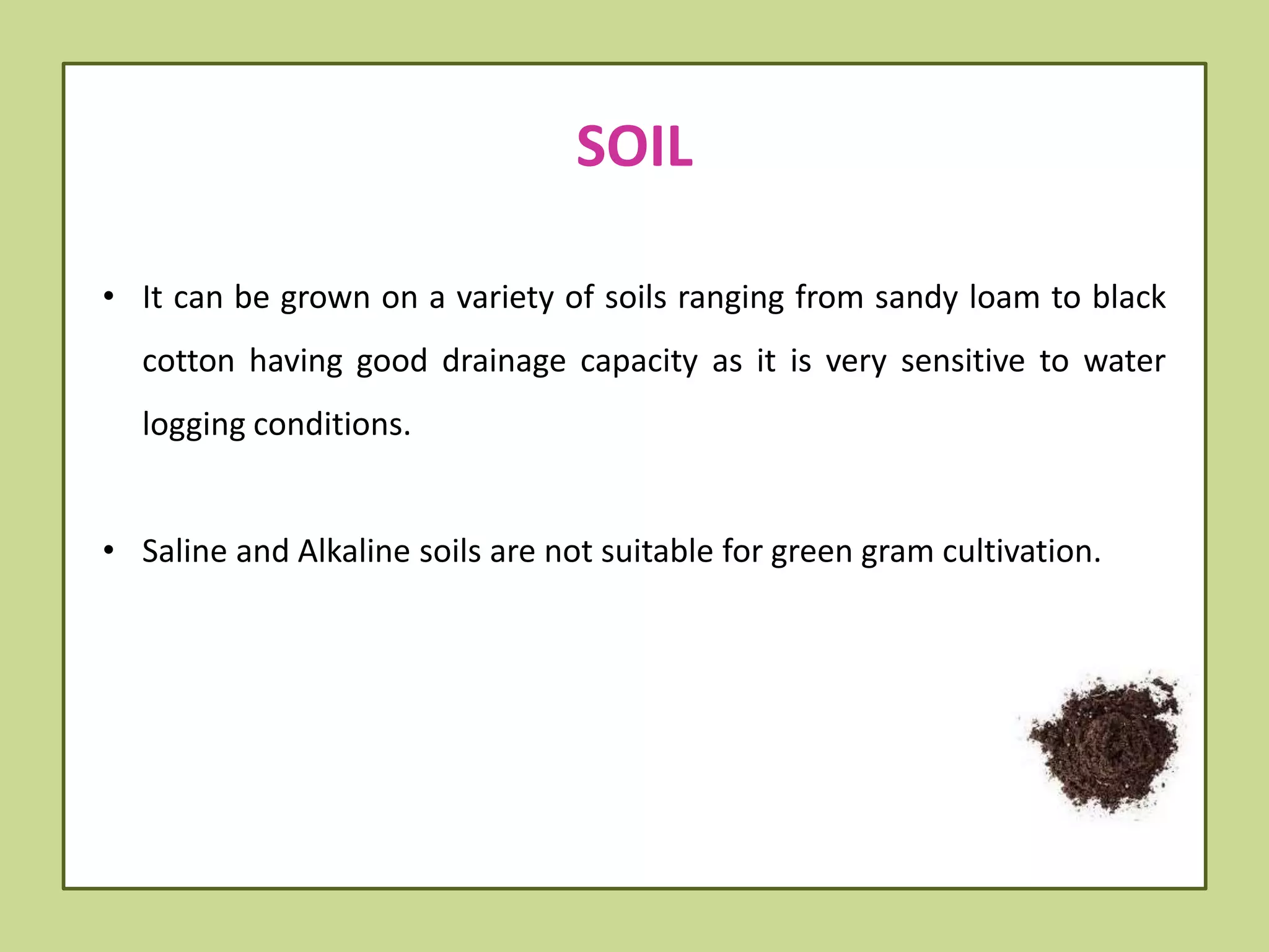 Seed Production in Green gram ppt | PPTX