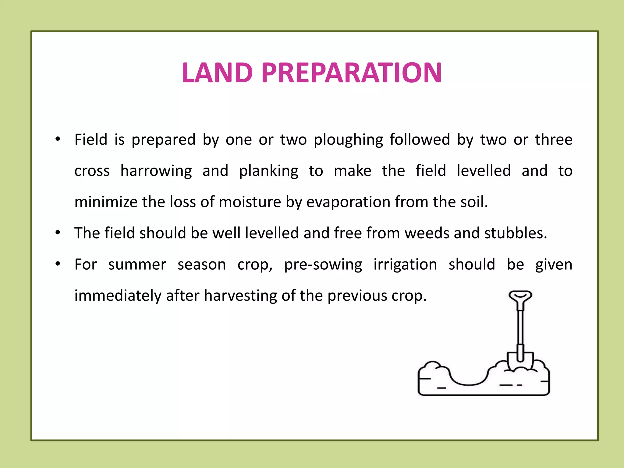 Seed Production in Green gram ppt | PPTX