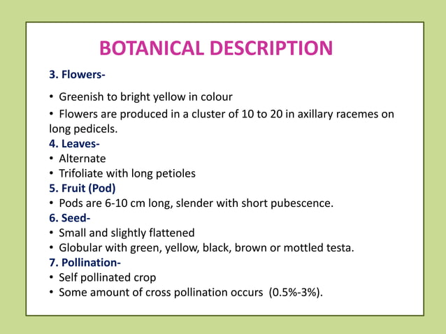 Seed Production in Green gram ppt | PPTX | Agriculture | Industries