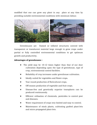 Greenhouse | PDF