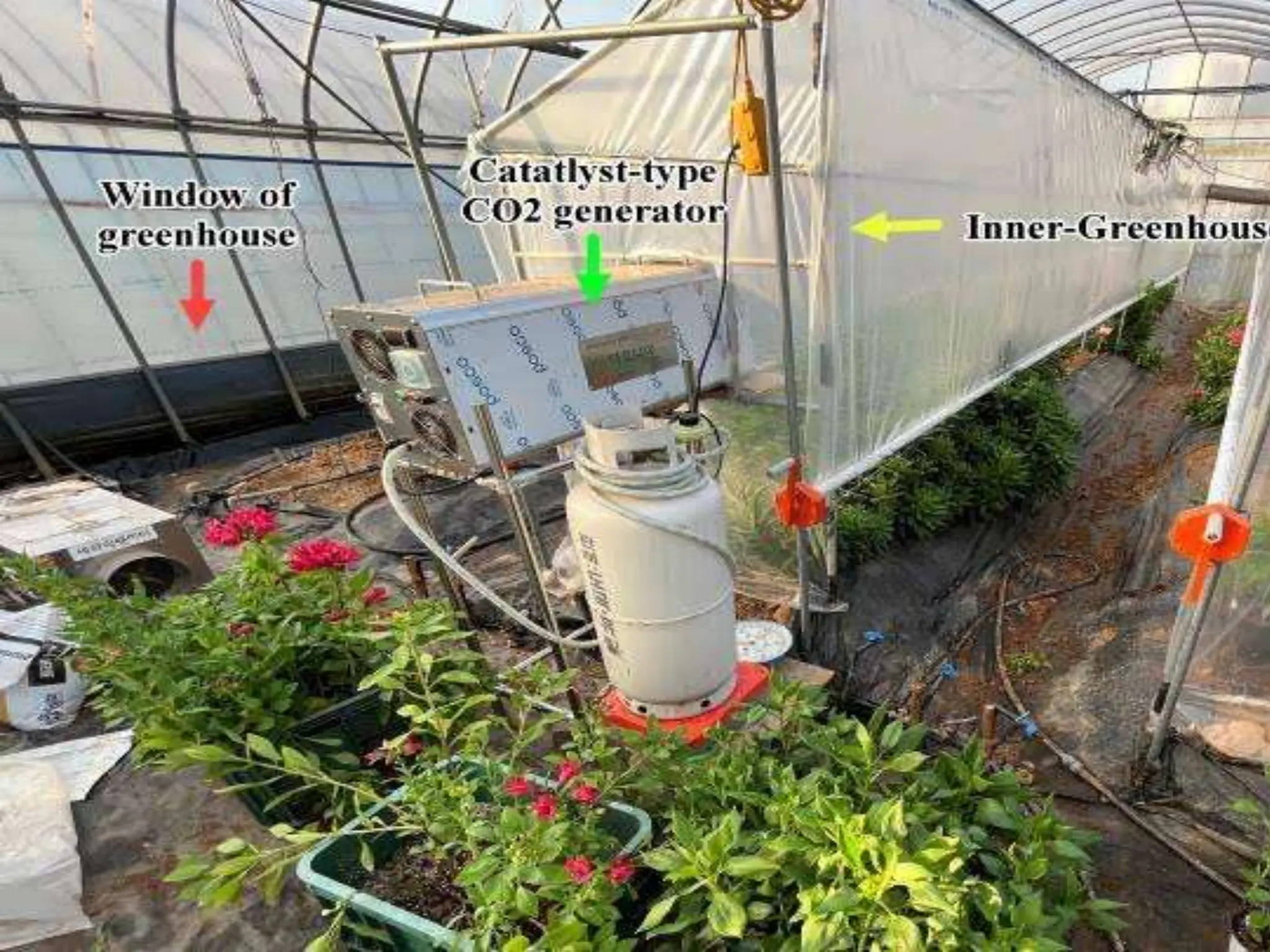 greenhouse-190715061604.pptx