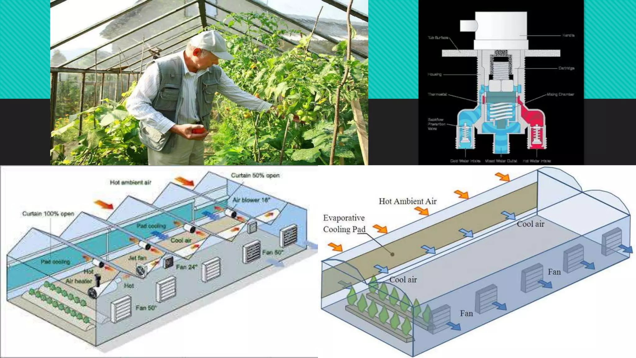 Green house | PPTX