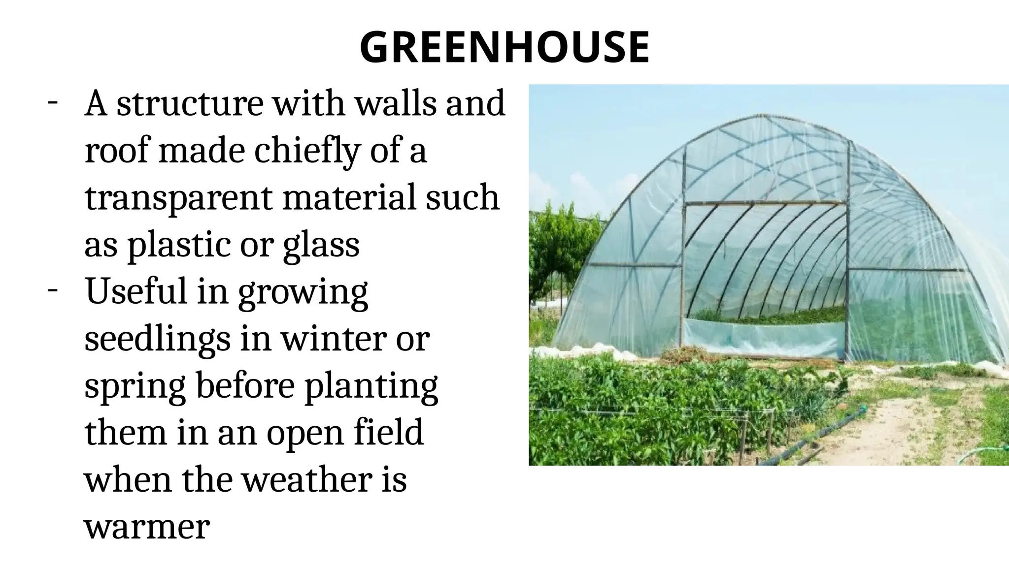 greenhouse-effect-infographics.pptx the green house effect | PPTX